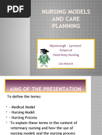 Vet Nursing Ability Model | PDF | Nursing | Patient