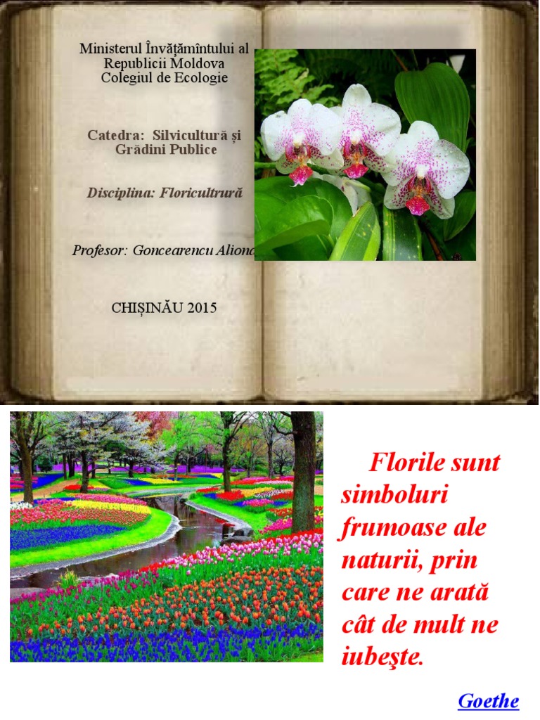 Lectia 1 | PDF