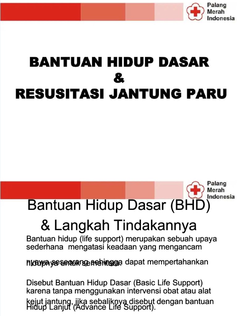 PDF BHD RJP Pmi DL | PDF