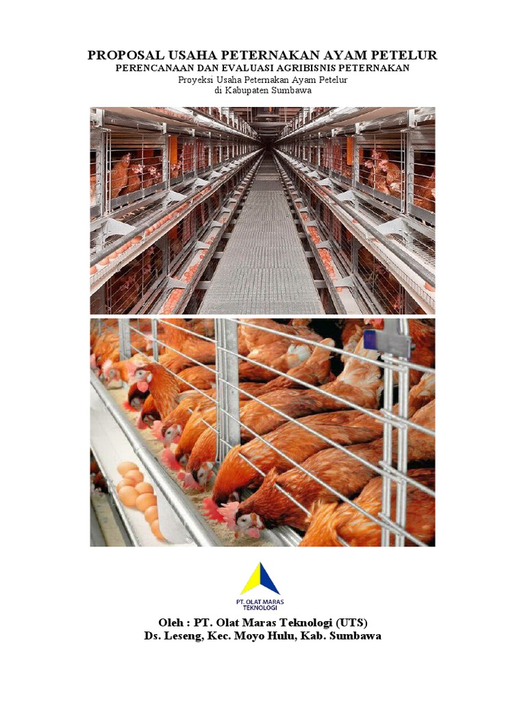 Proposal Usaha Peternakan Ayam Petelur | PDF