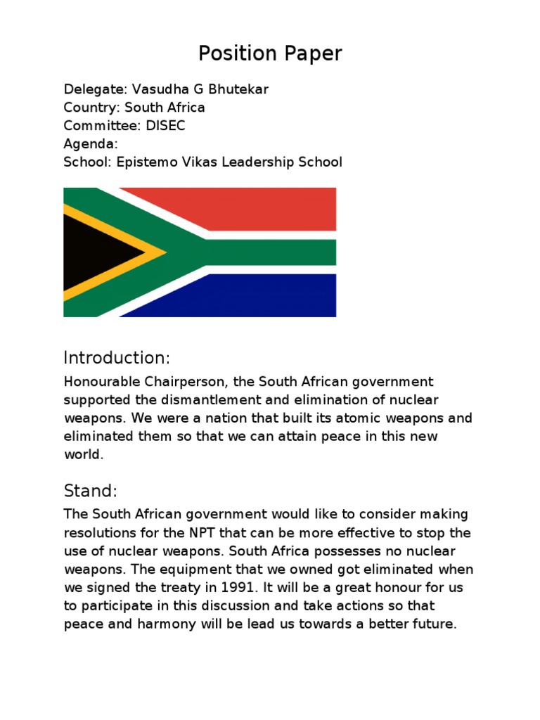 South Africa-Position Paper | PDF