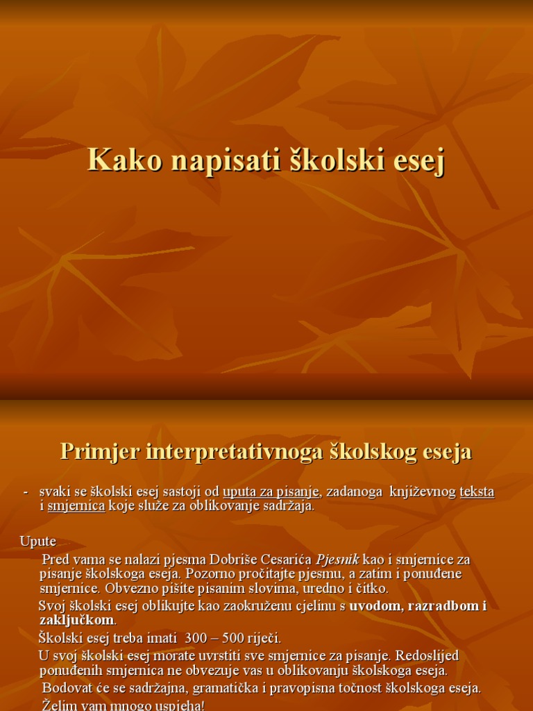 Pisanje Eseja | PDF
