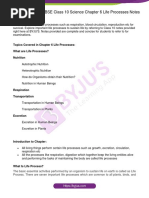 Life Processes Class 10 Notes | PDF