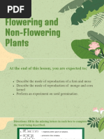 Flowering vs Non-Flowering Plants | PDF | Flowers | Pollination