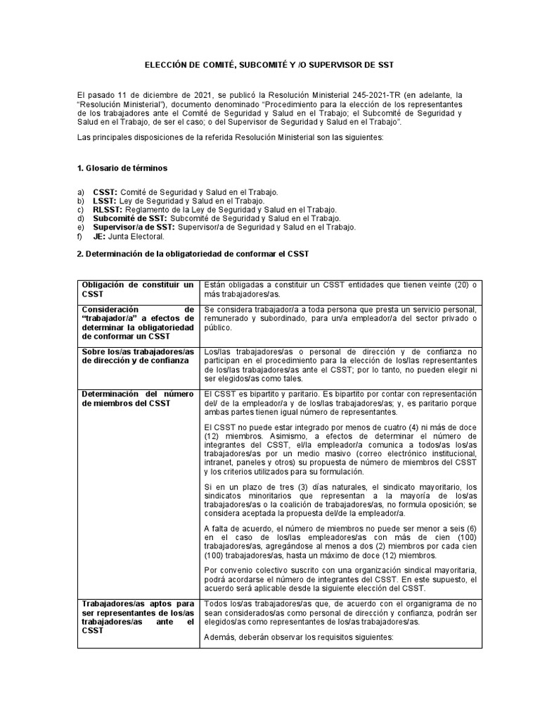 Procedimiento Conformación de CSST | PDF | Elecciones | Votación