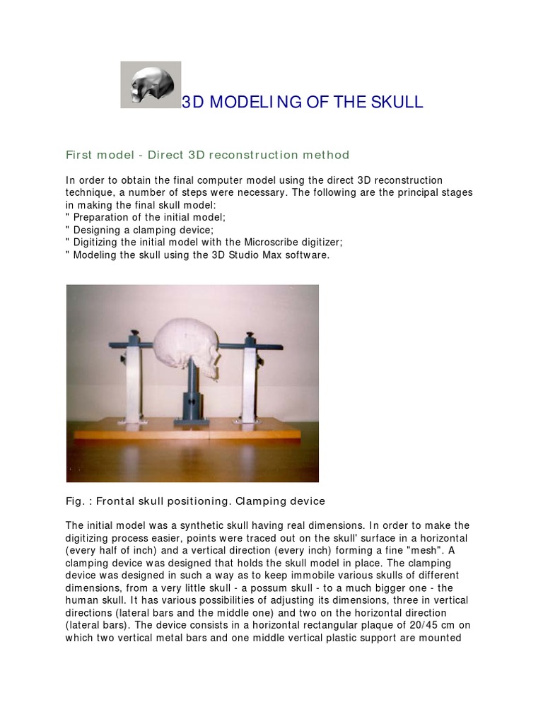 3d Modeling of The Skull | Download Free PDF | 3 D Computer Graphics ...