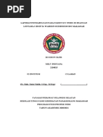 LP Ca Mamae (SDKI) - 1-1 | PDF