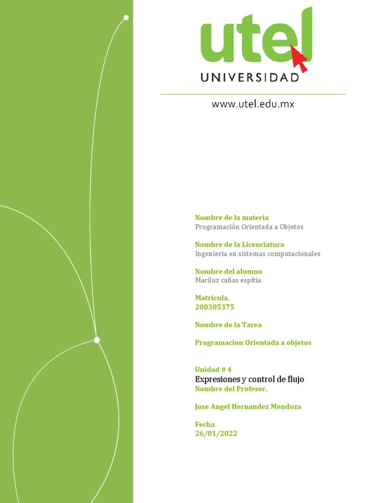 Actividad 4 POO | PDF | Lenguaje de programación | Programación ...