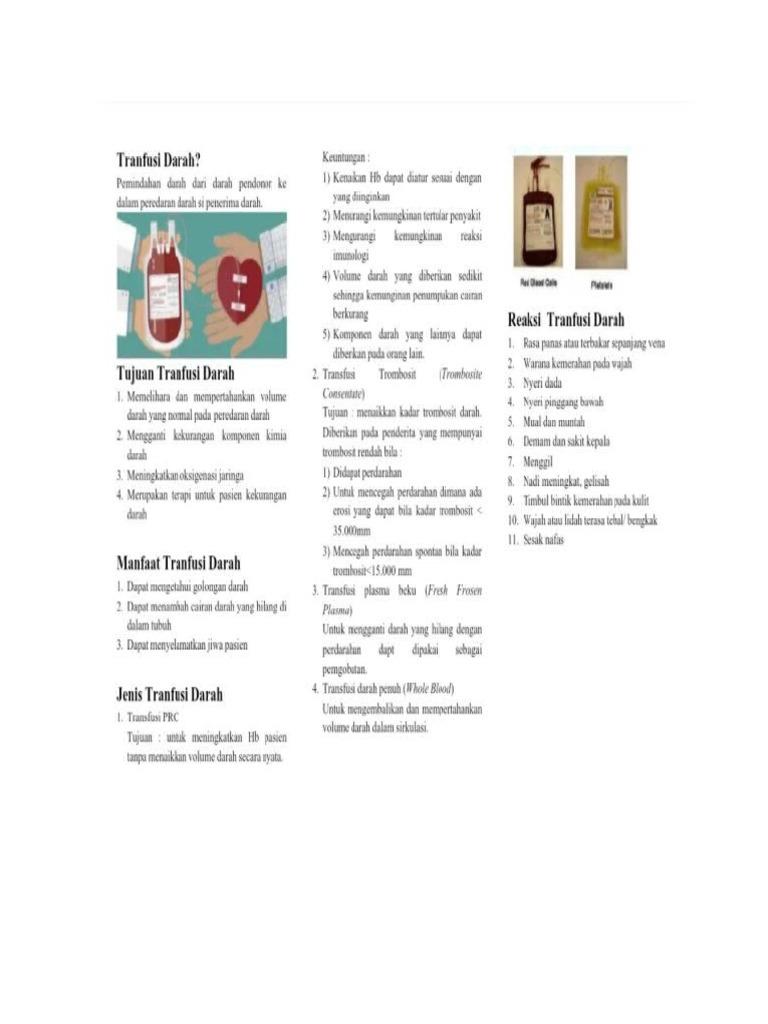 Leaflet Transfusi Darah | PDF