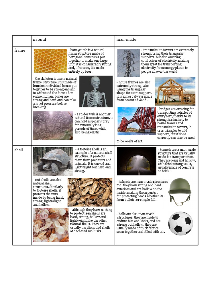 Natural & Man-Made Frame/shell Structures | PDF | Skeleton