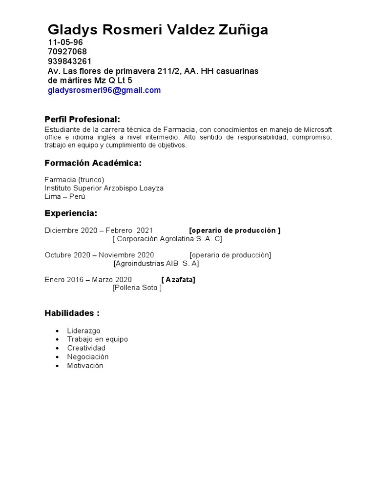 CV - Valdez Zuñiga Gladys Rosmeri | PDF