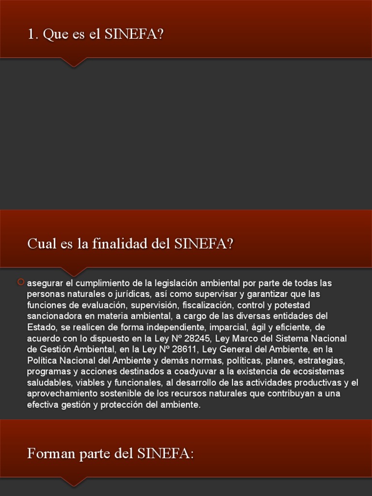 SINEFA | PDF | Relaciones personales, crianza y desarrollo personal