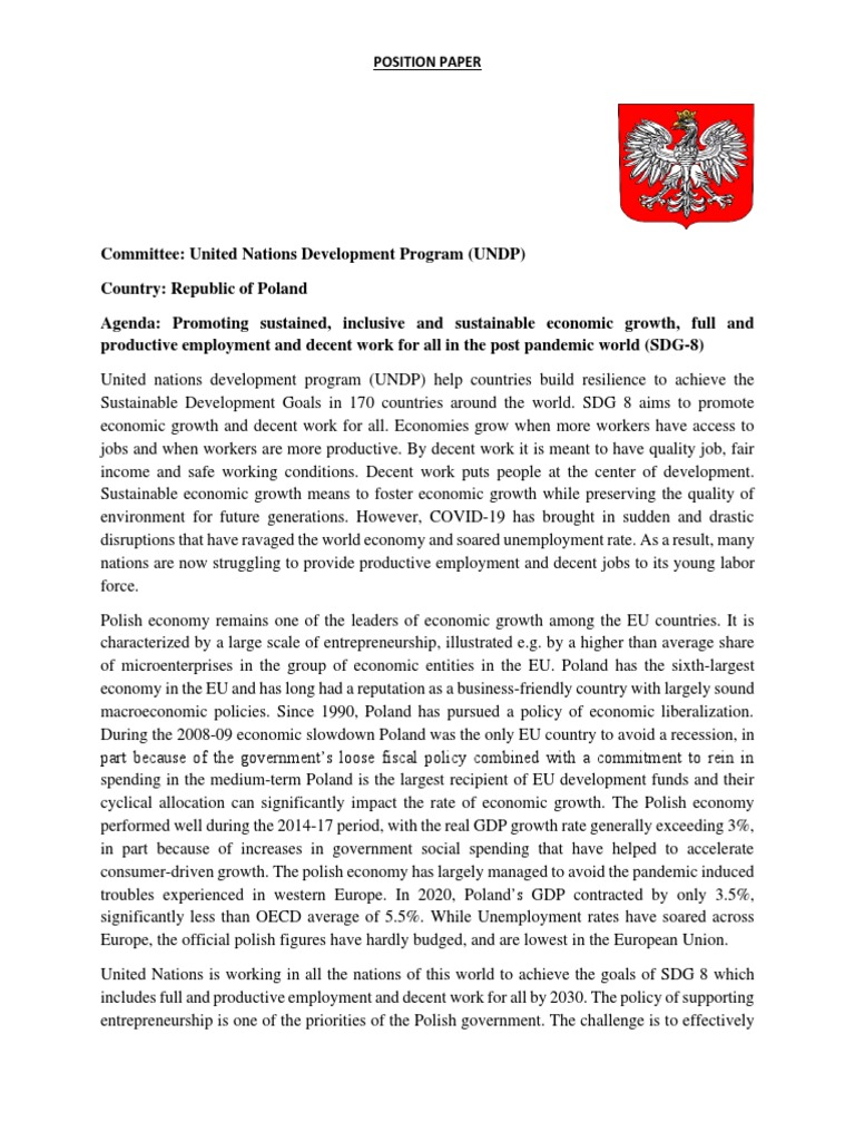 Position Paper Undp Drmcmun | PDF | Economic Growth | Employment