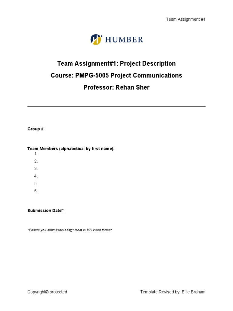 Team Assignment #1 - Project-Description - (Template) | PDF