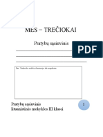 Veiksmac5beodc5beic5b3 Nuosakos | PDF