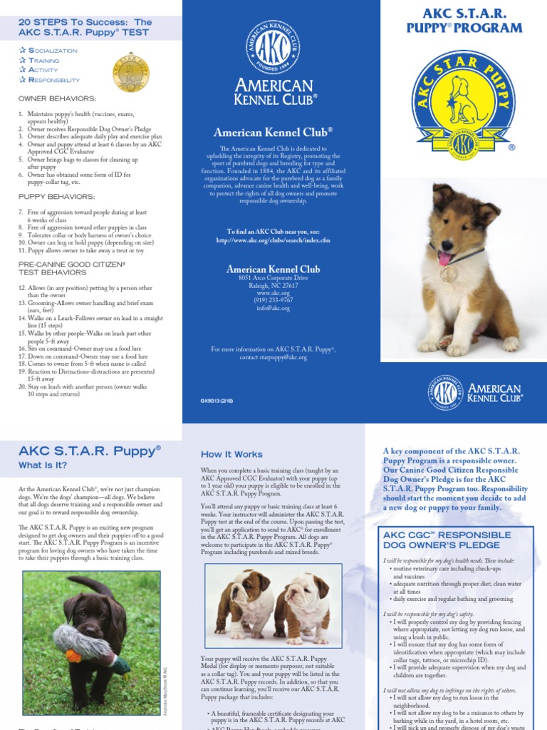 Akc Brochure Puppy Classes | PDF | American Kennel Club | Dogs