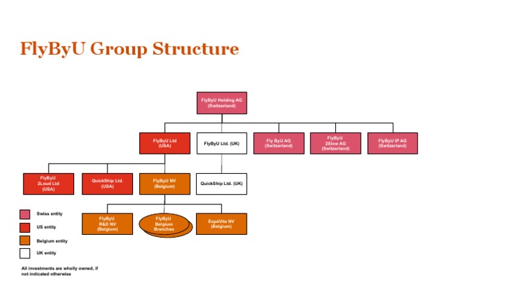 FlyByU Group Structure | PDF