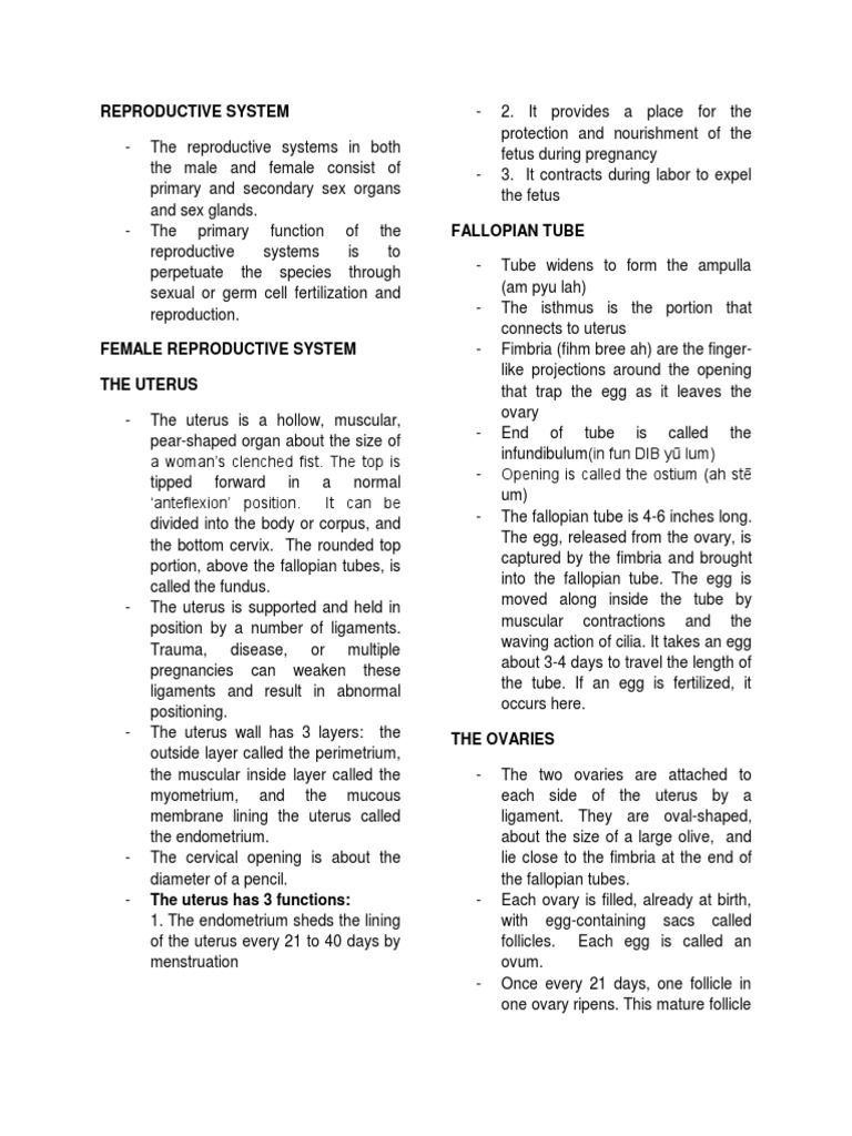Overview of the Reproductive System | PDF | Uterus | Labia