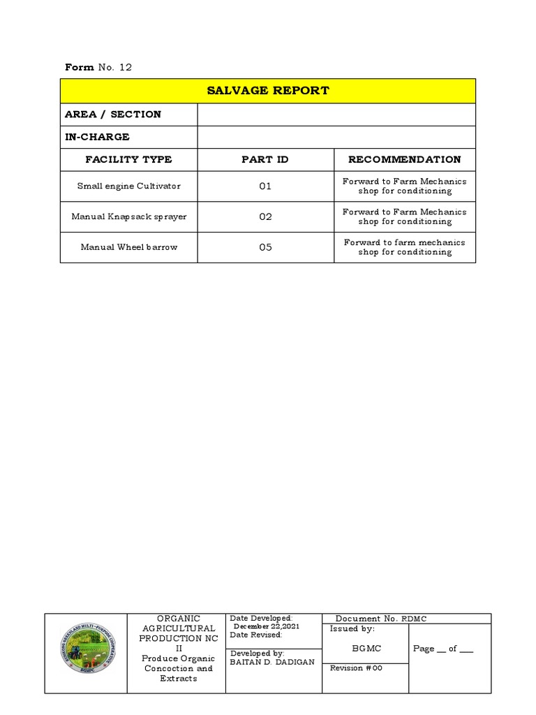 Salvage Report | PDF