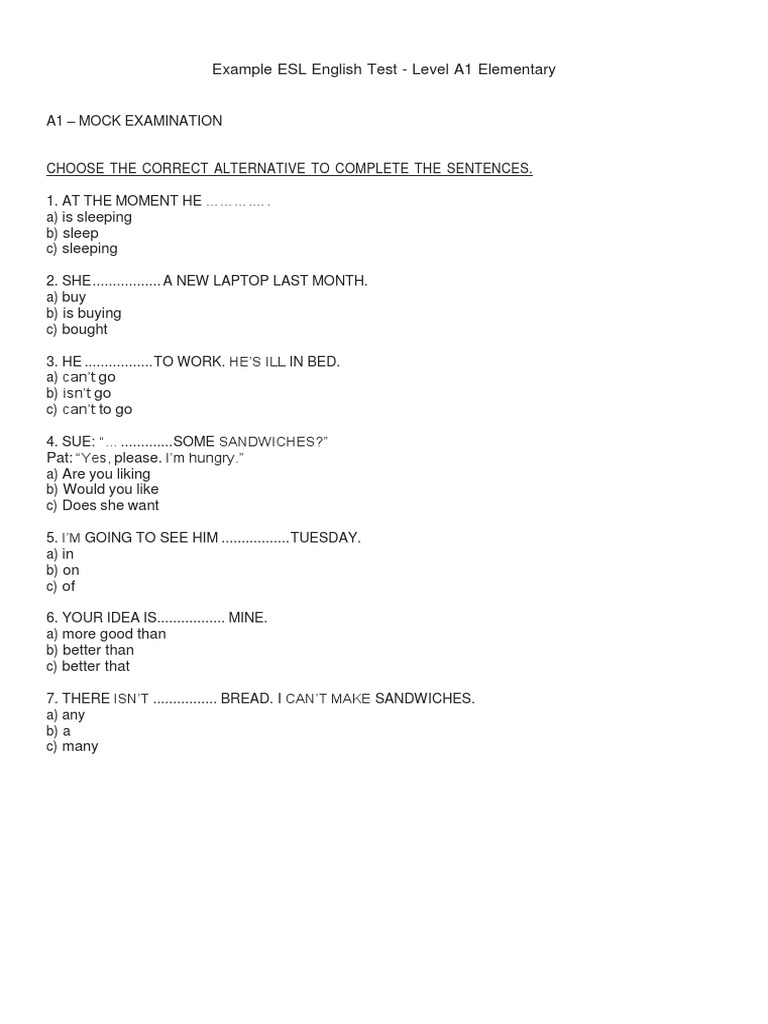 Beginner ESL Test: Level A1 | PDF