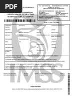 Pase Salida IMSS | PDF