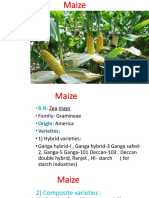 Crop Growth Chart - Maize: Stage VE V2 V5 V8 V12 V16 R1 R5 | PDF