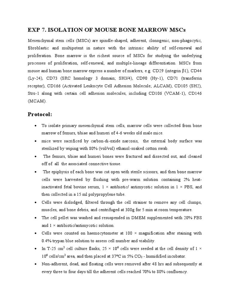 Mouse Bone Marrow MSC Isolation Protocol | PDF | Mesenchymal Stem Cell ...