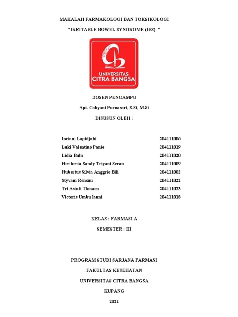 IBS Klompok 3 Edited | PDF