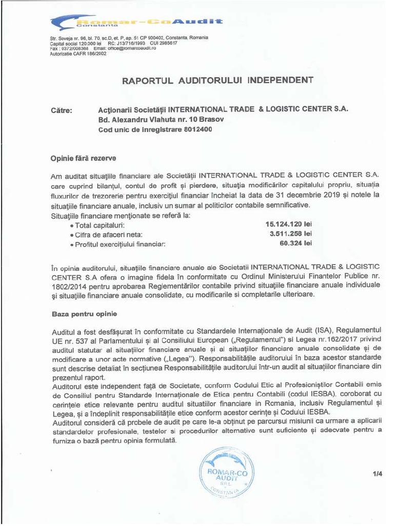 Model Raport Audit - 1 | PDF