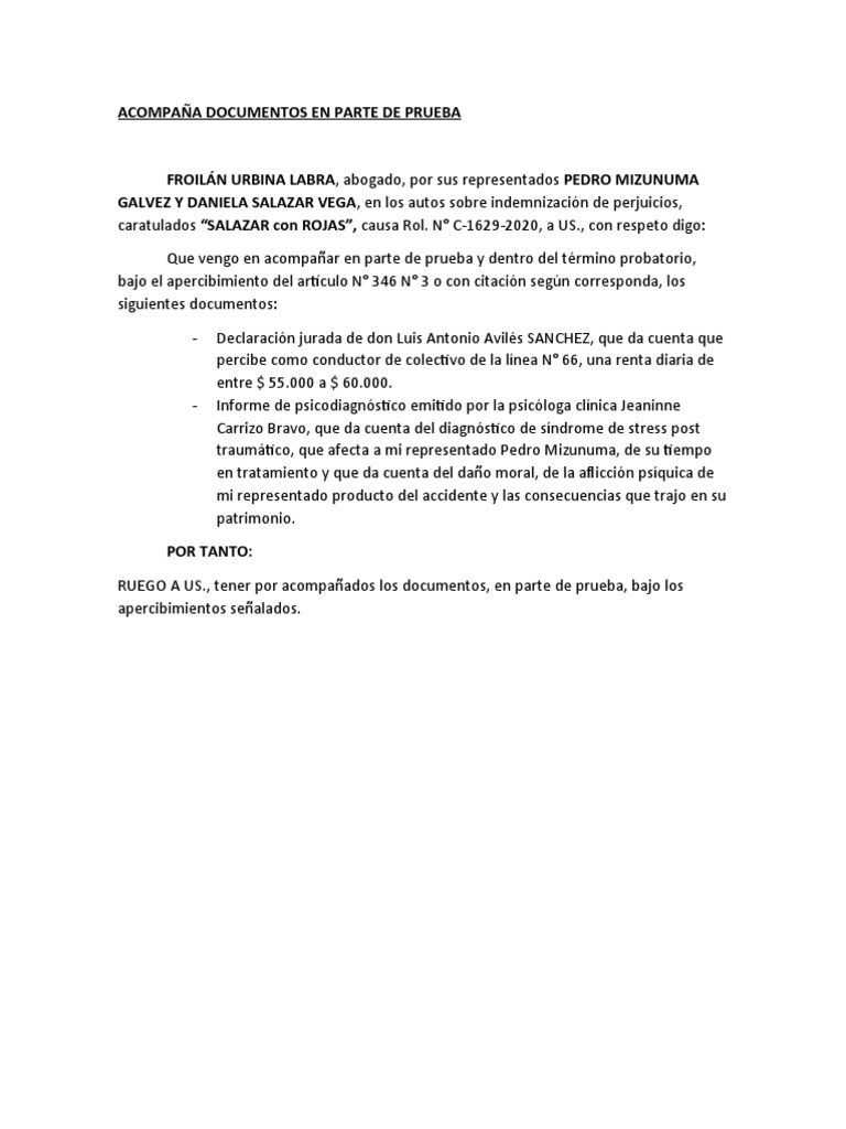 Acompaña Documentos en Parte de Prueba | PDF | Derecho