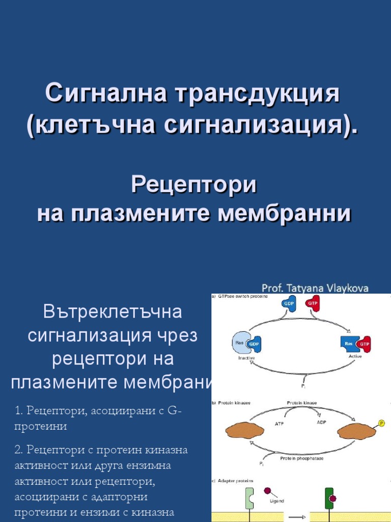 14-Signal Transduction-2021 | PDF