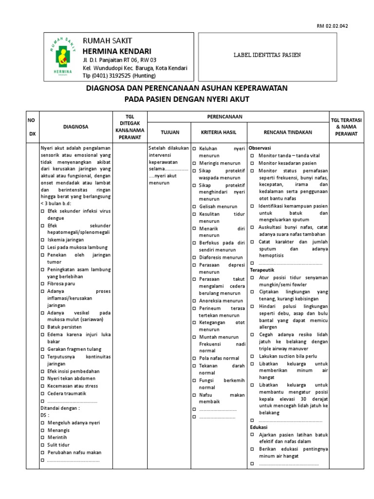 RM 02.02.042 Diag Dan Perenc Askep Nyeri Akut Potrait | PDF