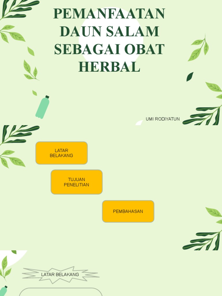 Daun Salam | PDF