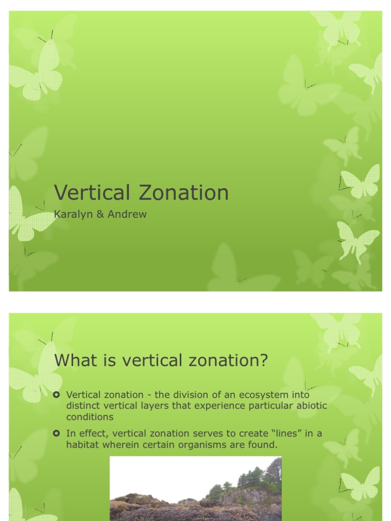 Vertical Zonation: Karalyn & Andrew | PDF | Biogeography | Marine Biology