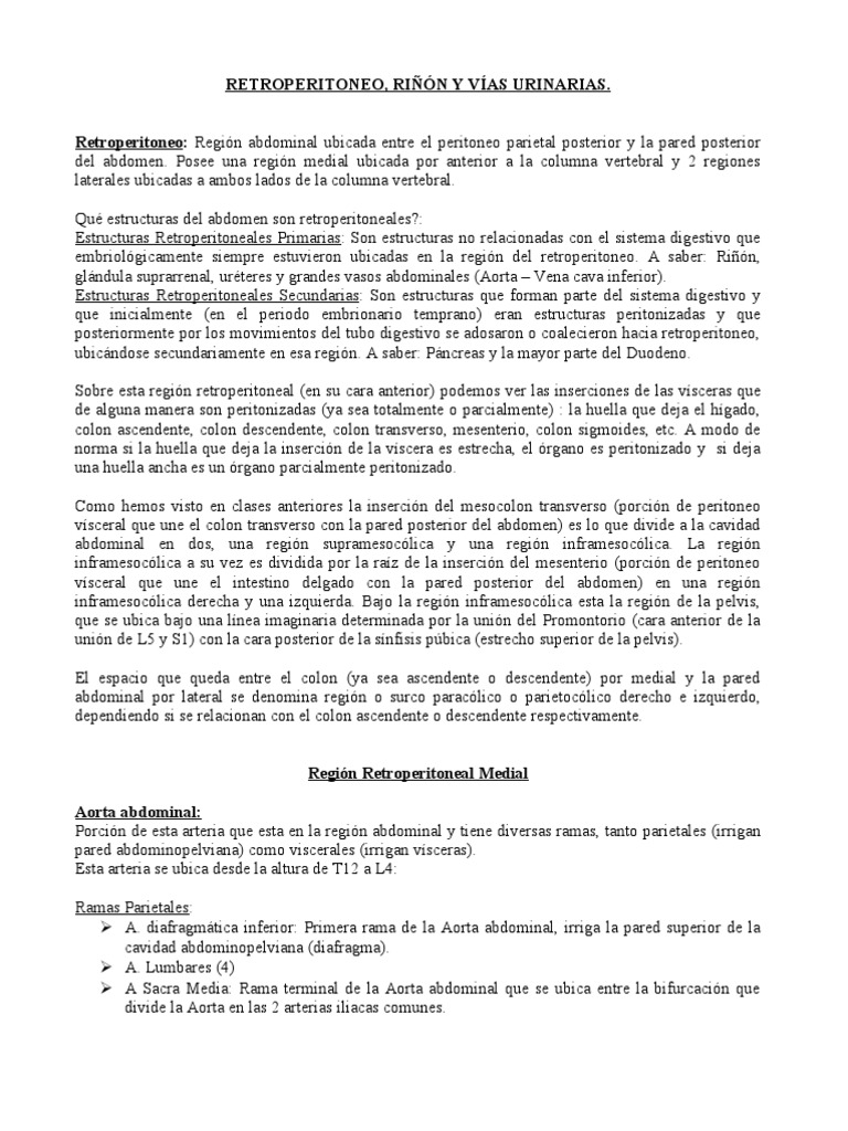 Anatomía del Retroperitoneo y Riñones | PDF | Abdomen | Riñón