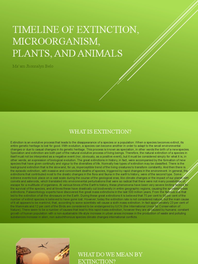 TIMELINE of Extinction, Microorganism, Plants | PDF | Archaea | Plants