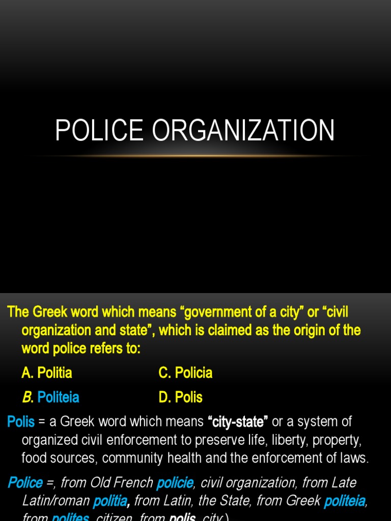 Police Organization | PDF | Police | Inspector