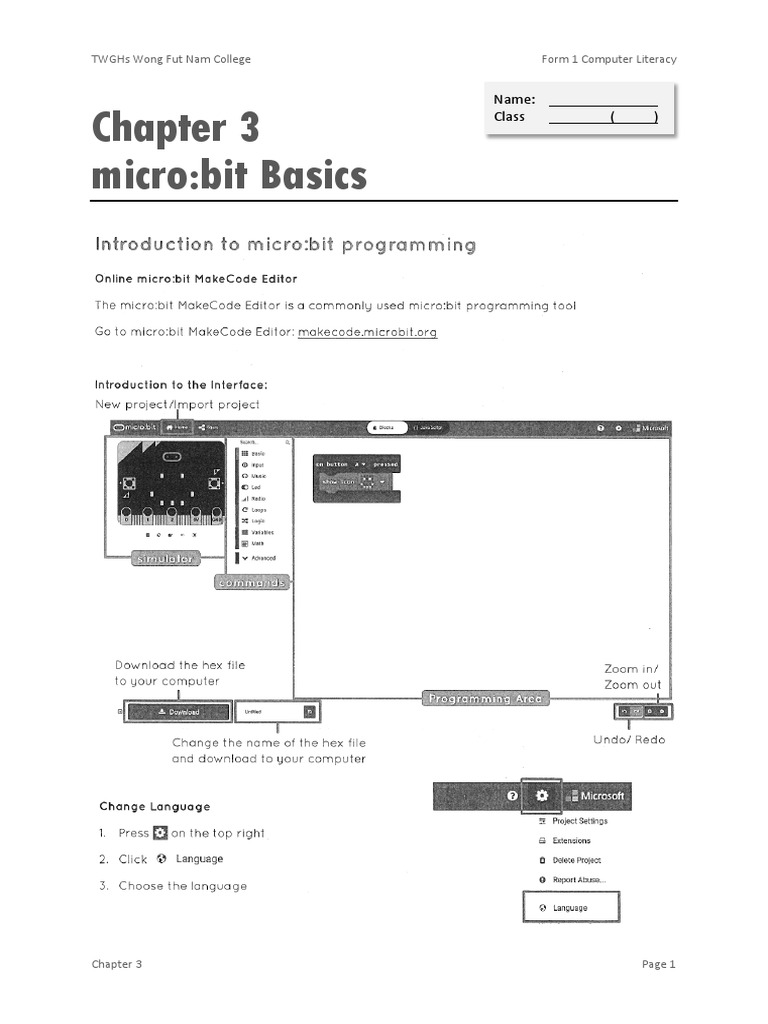 Micro:bit Basics: Name: Class | PDF