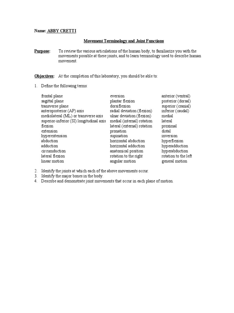 Movement Terminology Worksheet | PDF | Anatomical Terms Of Motion ...
