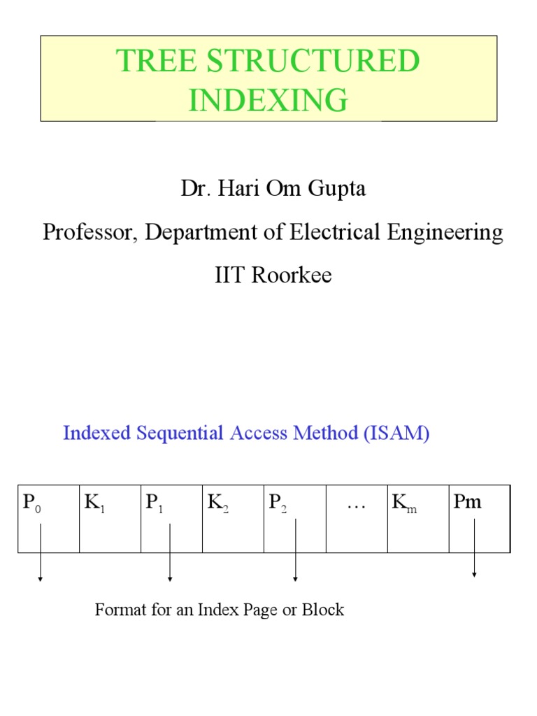 Tree Structured Indexing: Dr. Hari Om Gupta Professor, Department of Electrical Engineering IIT ...