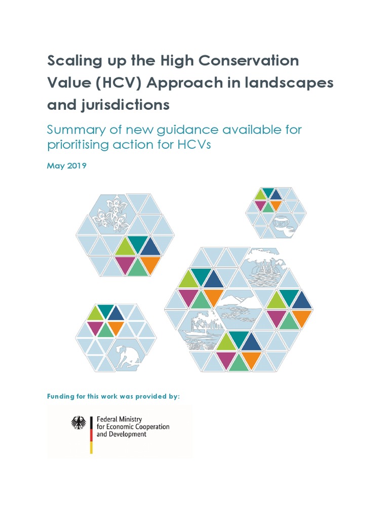 HCV Screening Summary | PDF | Risk Assessment | Risk
