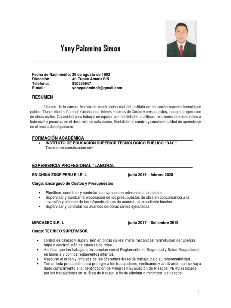 CV .Yony Palomino | PDF | Minería | Perú