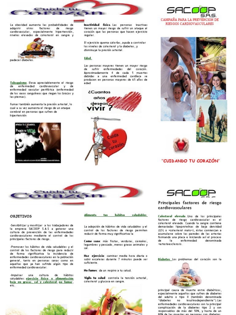 Folleto Factores de Riesgo Cardiovascular | PDF | Enfermedades ...