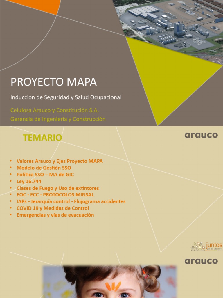 001 Induccion SSO MAPA | PDF | Lavado de manos