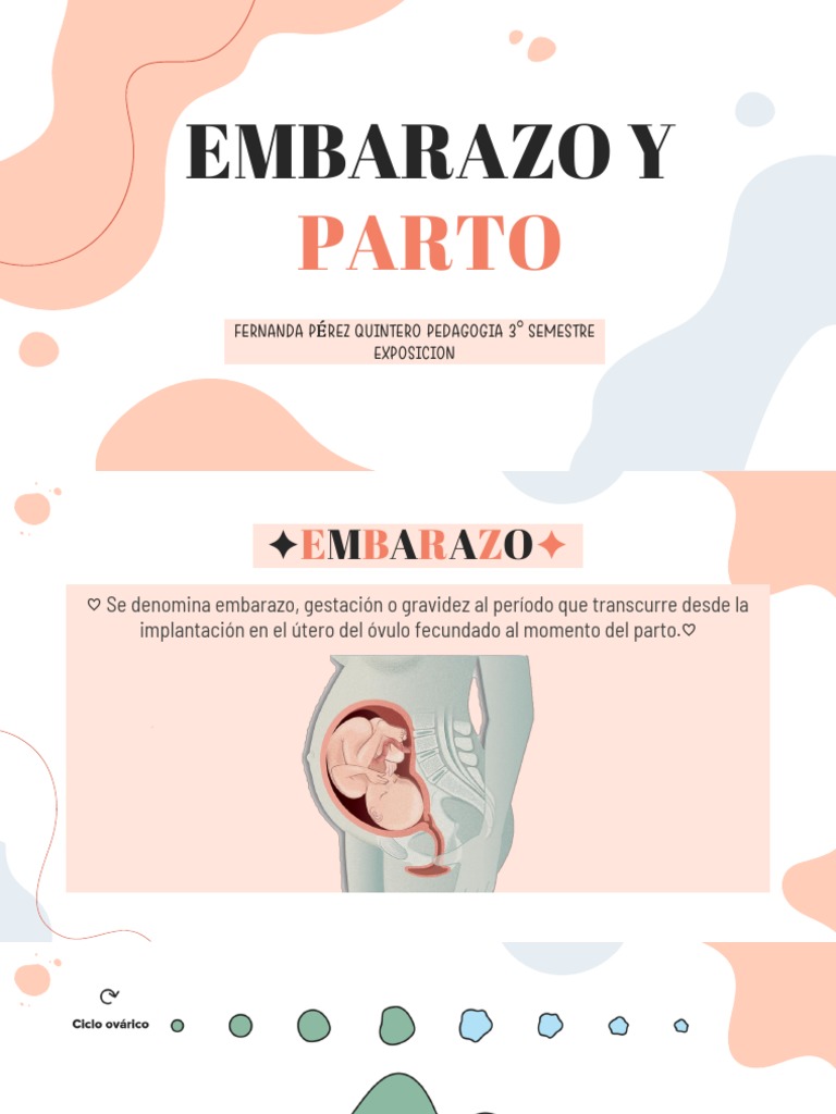 Embarazo y Parto | PDF | El embarazo | Parto