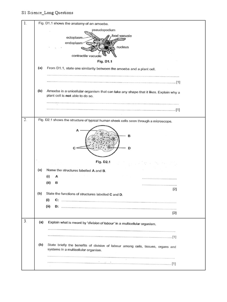 S1 Science - Long Questions | PDF | Science & Mathematics | Technology ...
