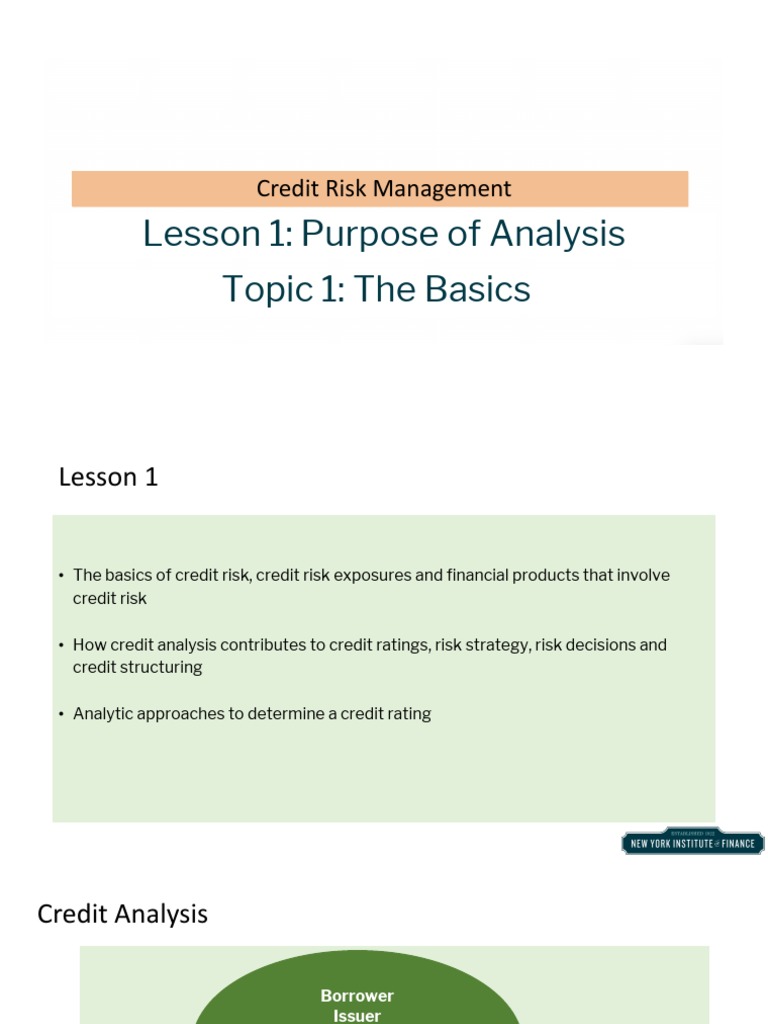 Lesson1 Topic 1 The Basics-Notes | PDF | Credit Risk | Risk