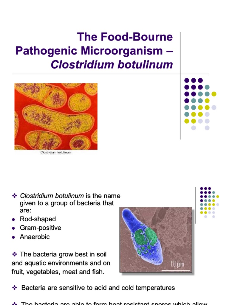 Clostridium Botulinum Presentation | PDF | Botulinum Toxin | Medical ...