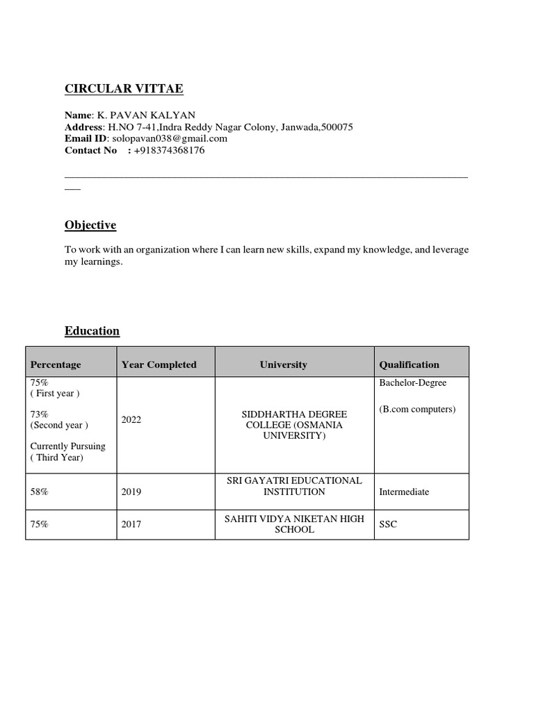 K Pavan Kalyan (CV) | PDF