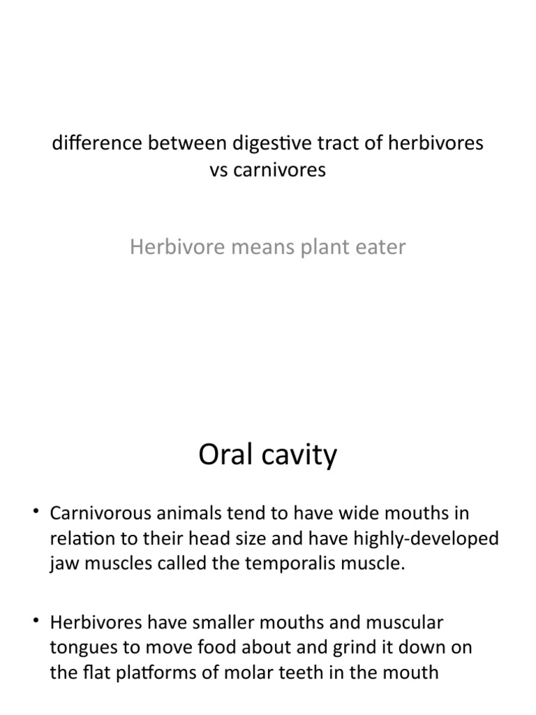 Herbivore Means Plant Eater: Difference Between Digestive Tract of ...